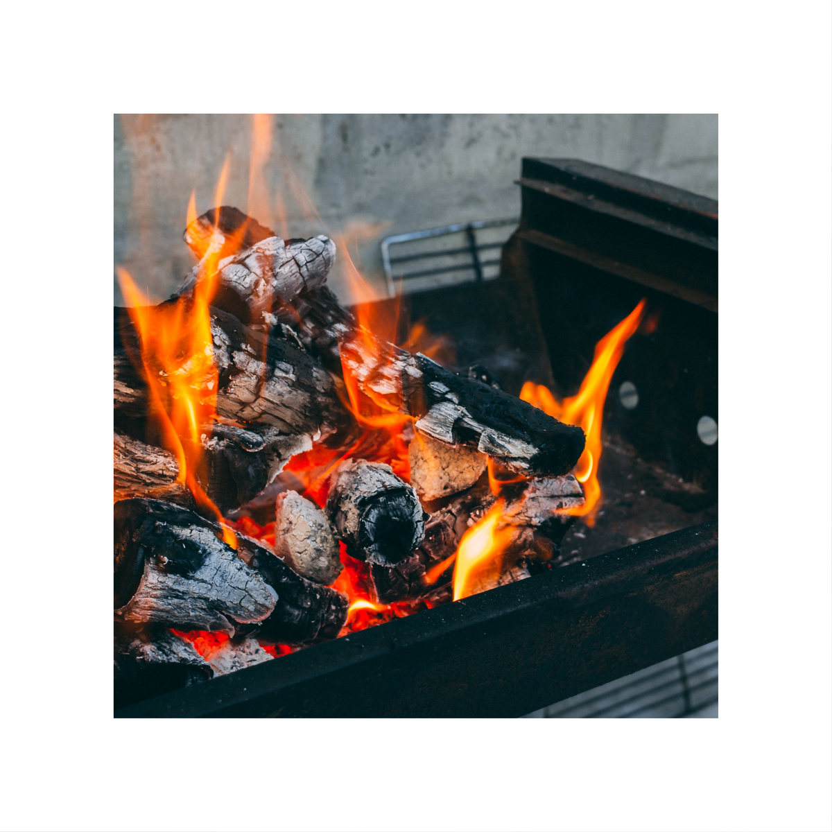 Barbecues — Our Small Garden