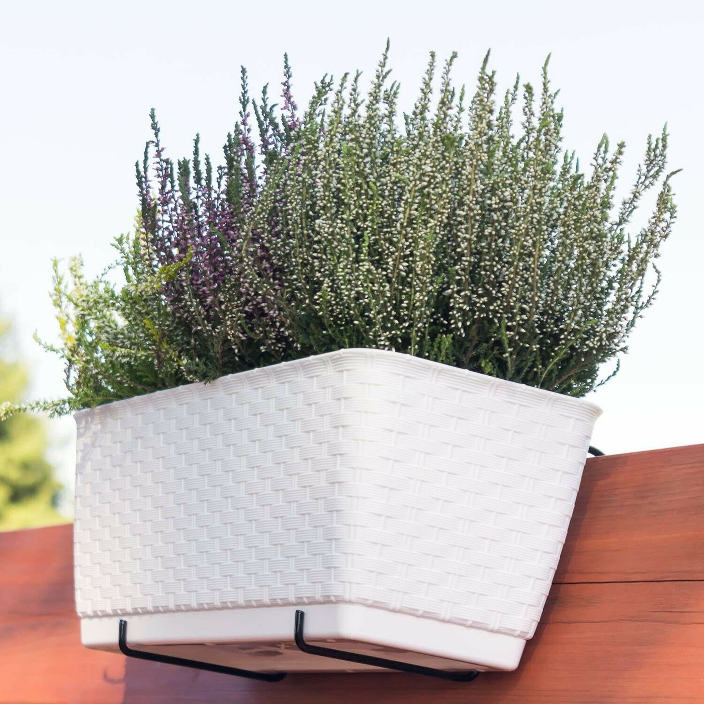 50cm (12L) Outdoor Plastic White Wicker Effect Trough with Water Reser ...